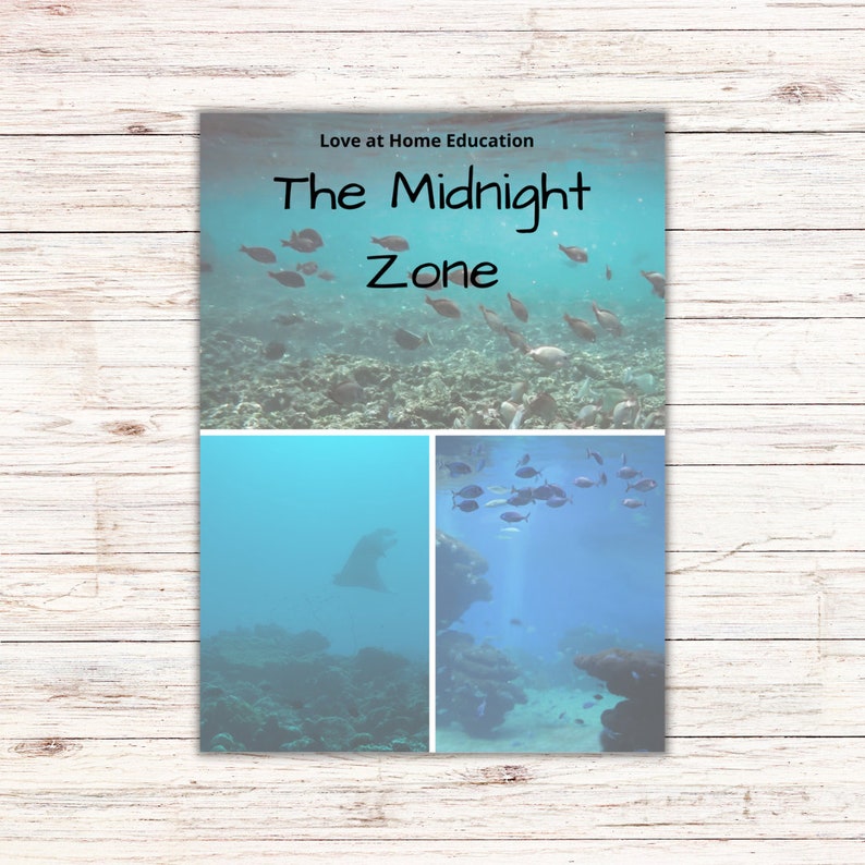 Ocean Biomes- Coastal Habitats- Unit 1 | Elementary Science ...