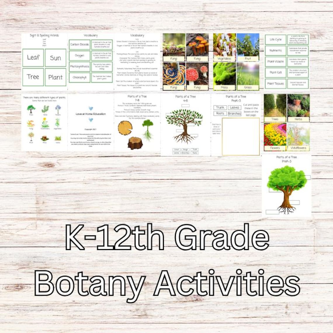 K-12 Botany Unit Study, Homeschool Curriculum (digital Download) - Etsy