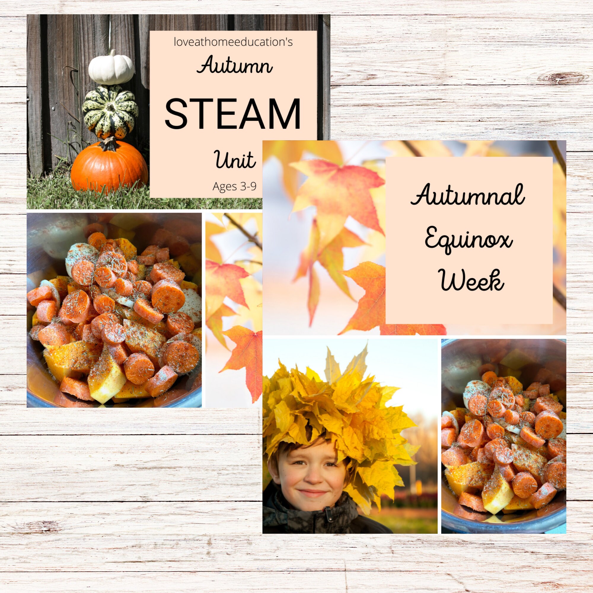 Autumn STEAM Unit for Ages 3-9, Grades Preschool-3rd Grade, STEM ...