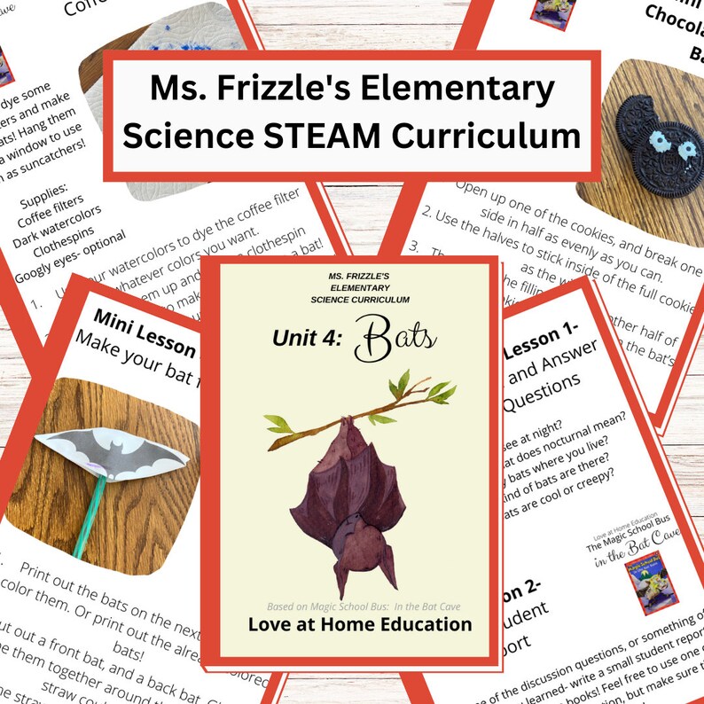 Ms. Frizzle's Birds Homeschool Unit – Elementary Science STEAM (digital ...