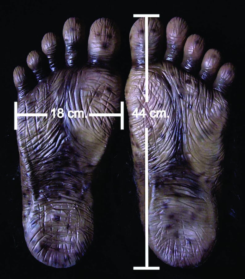 Bigfoot Latex Hand Gloves,(pair), Sasquatch, Yeti, Halloween Costume ...