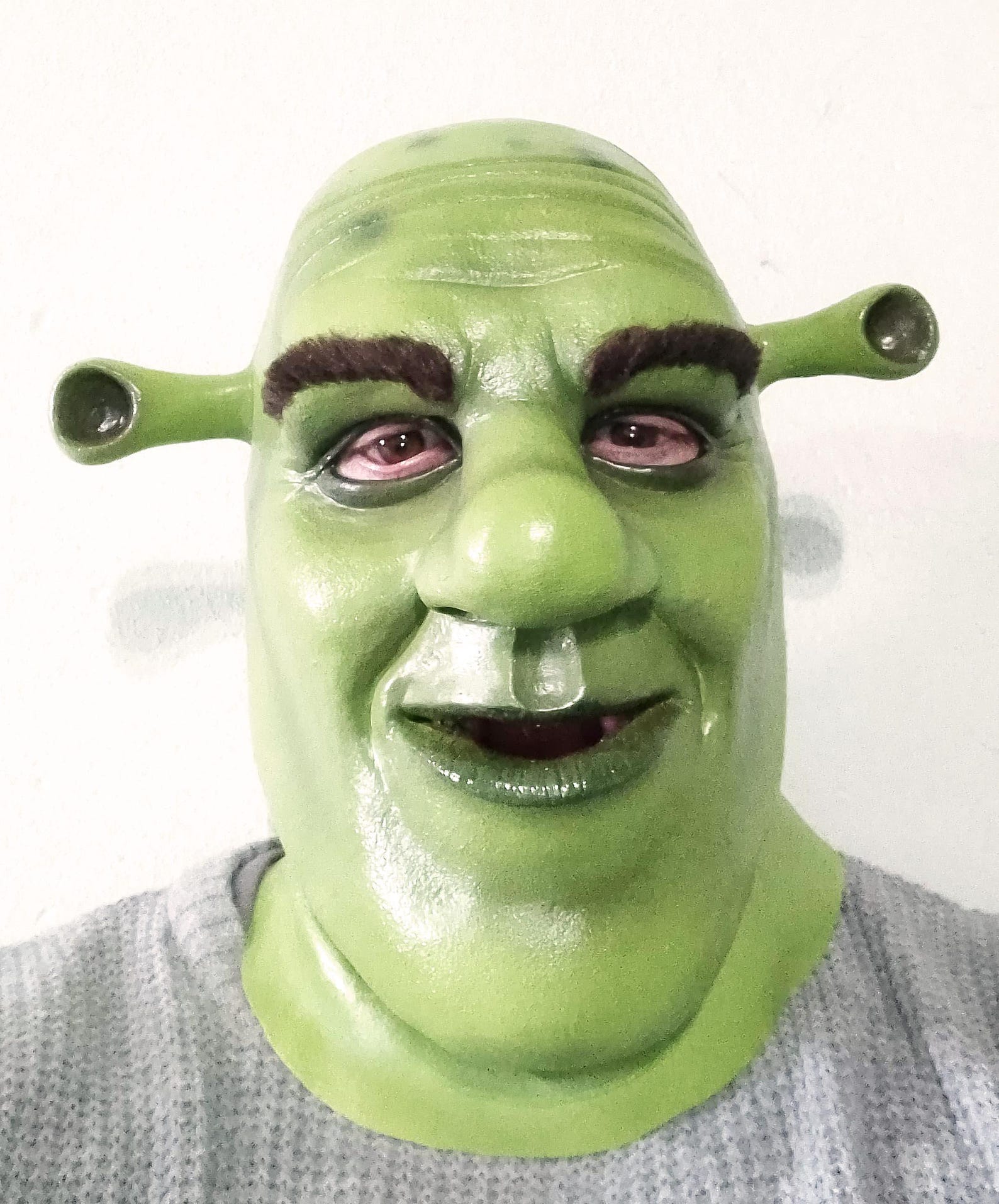 Shrek Latex Mask, Green Ogre Mask, Fairy Tale Cosplay, Far Far Away ...