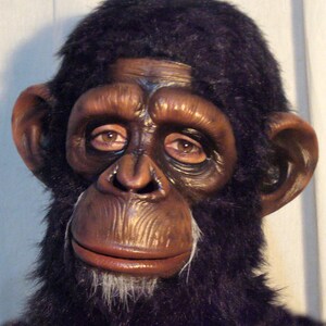 Chimp Latex Mask, Planet of the Apes, Primate Mask, Chimpanzee, Monkey ...