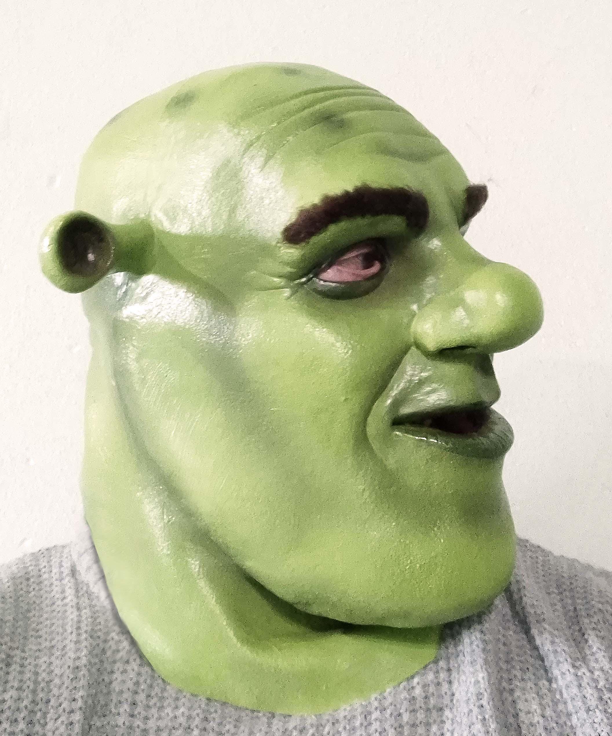 Shrek Latex Mask, Green Ogre Mask, Fairy Tale Cosplay, Far Far Away ...
