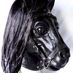Pony Play Latex Mask, With Transparent Acrylic Eyes, Black Horse Latex ...