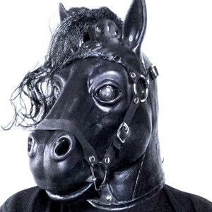 Pony Play Latex Mask, With Transparent Acrylic Eyes, Black Horse Latex ...