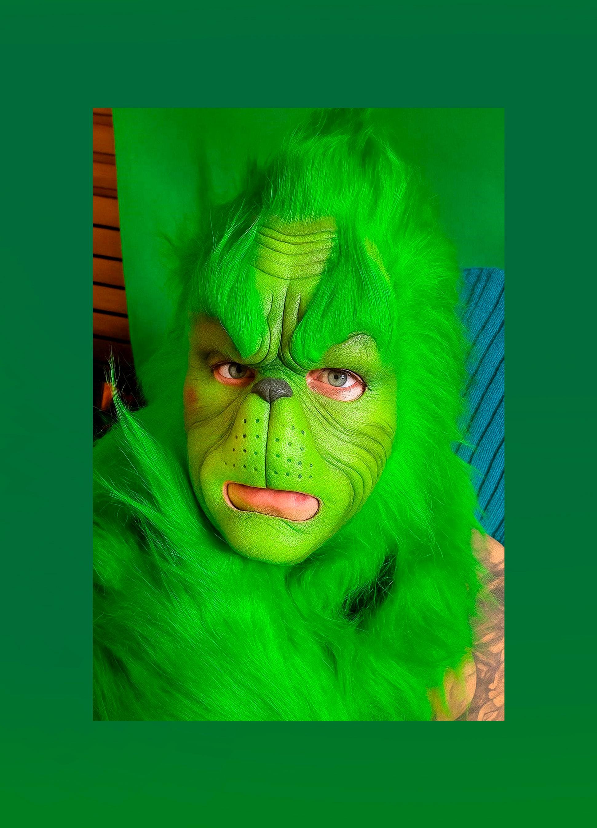 Grinch Latex Half Mask, Christmas Green Mask, Xmas Cosplay - Etsy