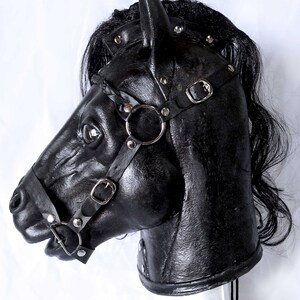 Pony Play Latex Mask, With Transparent Acrylic Eyes, Black Horse Latex ...