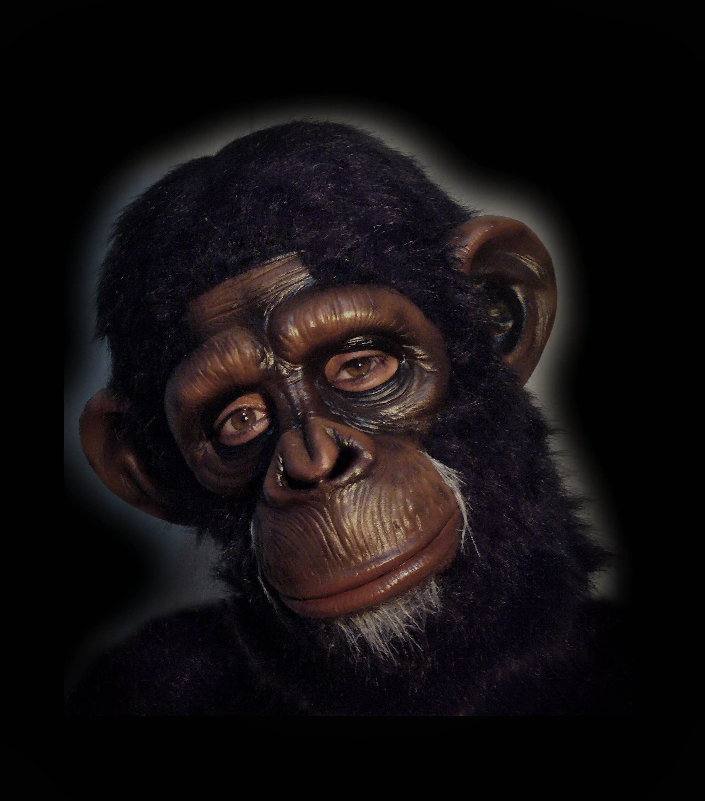 Chimp Latex Mask Planet of the Apes Primate Mask | Etsy