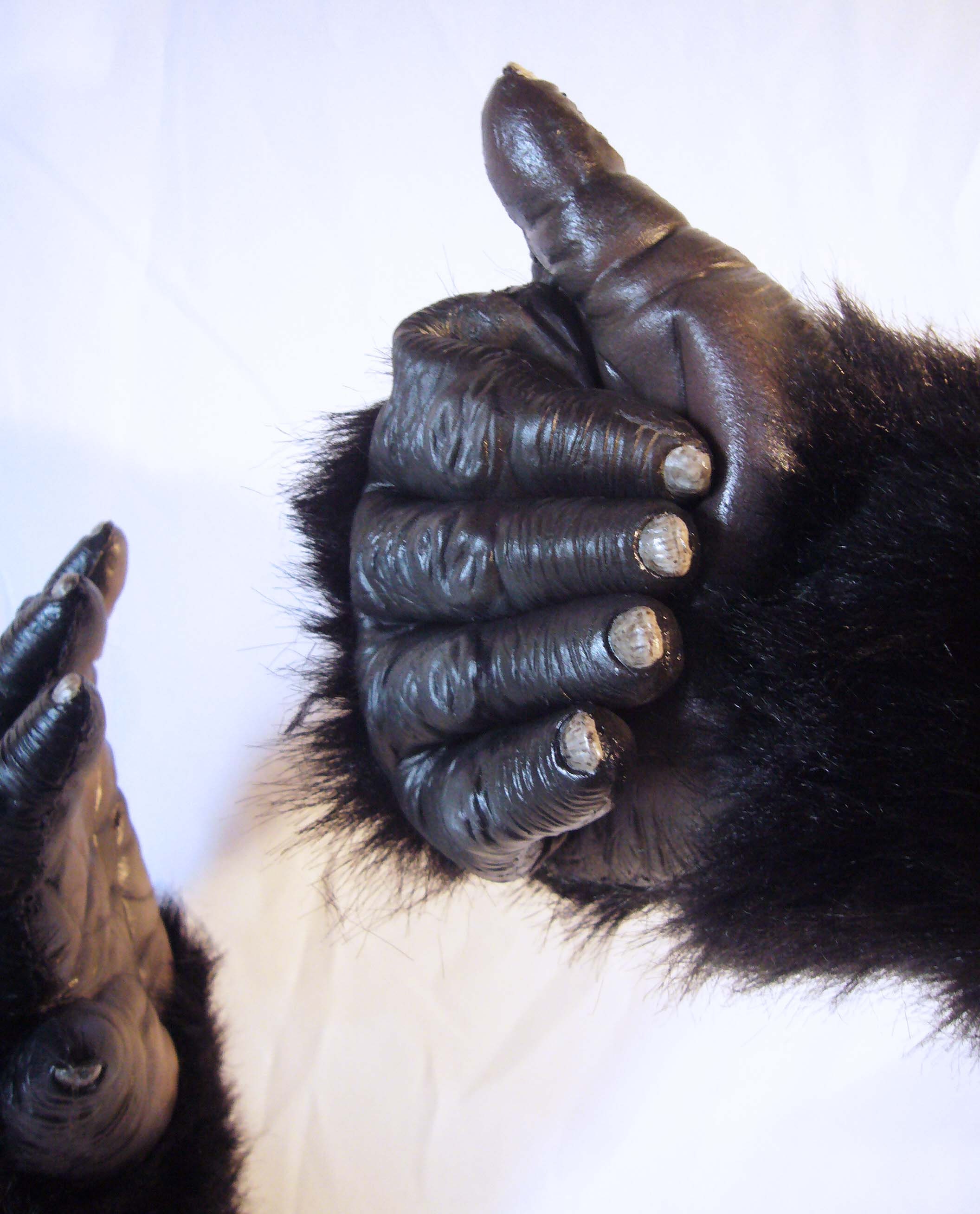 Latex Hand Gloves, for Gorilla or Werewolf (pair), Animal,halloween ...