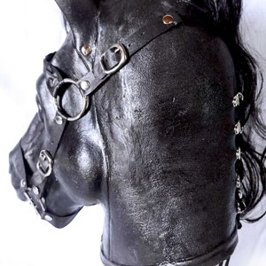 Pony Play Latex Mask, With Transparent Acrylic Eyes, Black Horse Latex ...