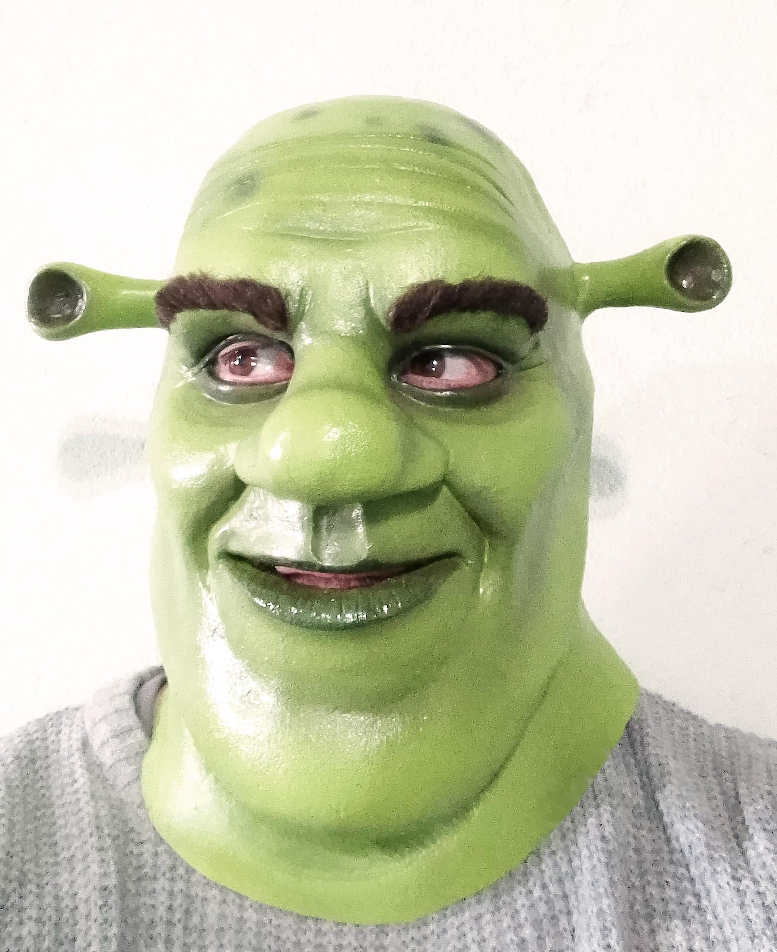 Shrek Latex Mask, Green Ogre Mask, Fairy Tale Cosplay, Far Far Away ...