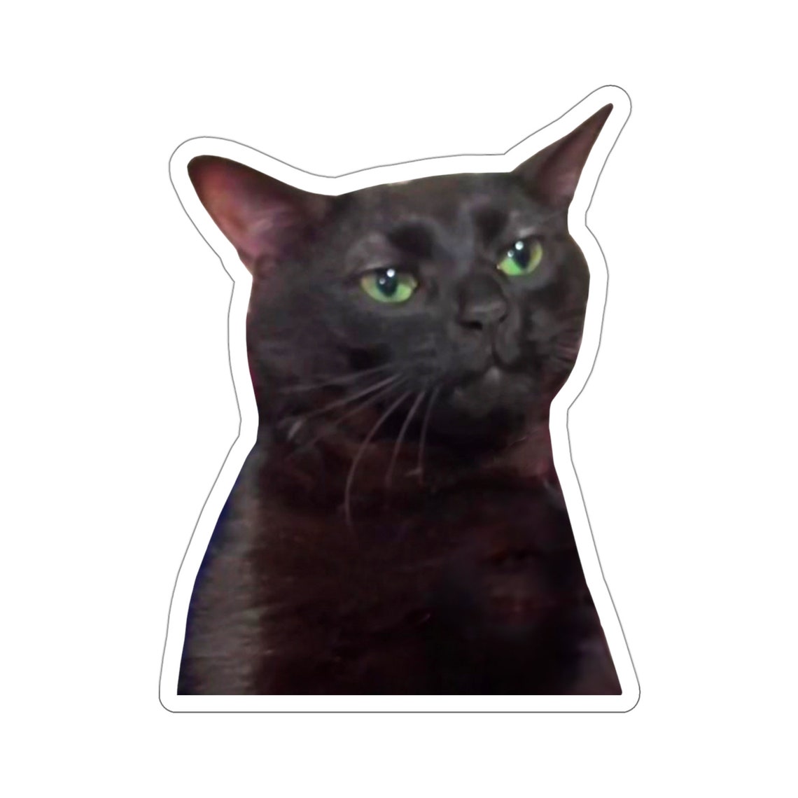 Zoning Out Black Cat Meme, Zoning Out Black Cat Sticker, Black Cat Meme ...