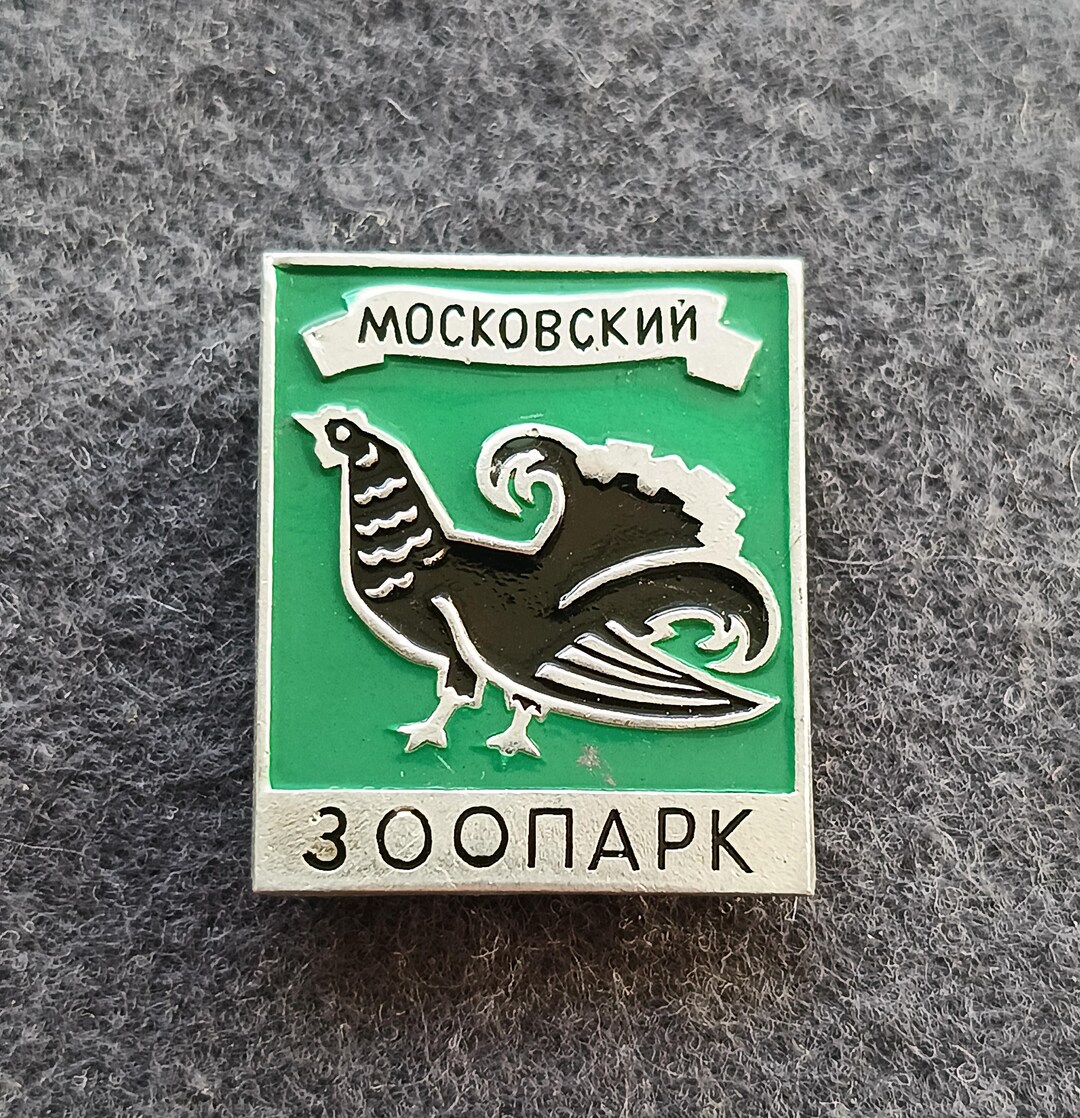 Vintage Badge Wood Grouse Bird Moscow Zoo Pin Icon USSR - Etsy
