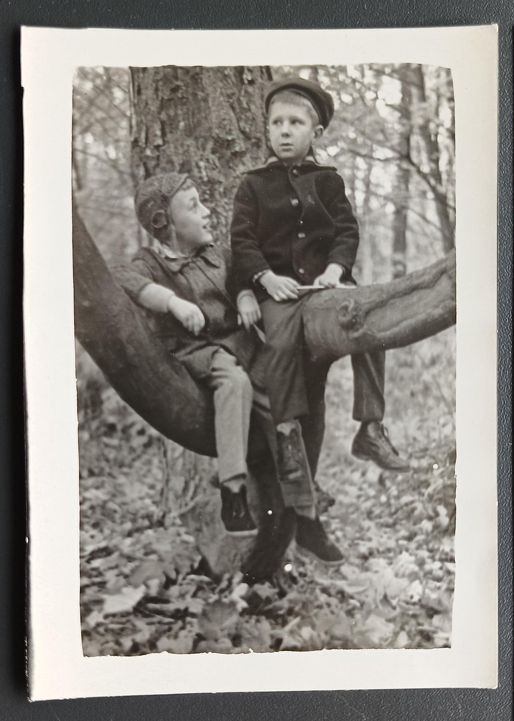Original Vintage Photo Boys in Tree Children Kids 65s - Etsy