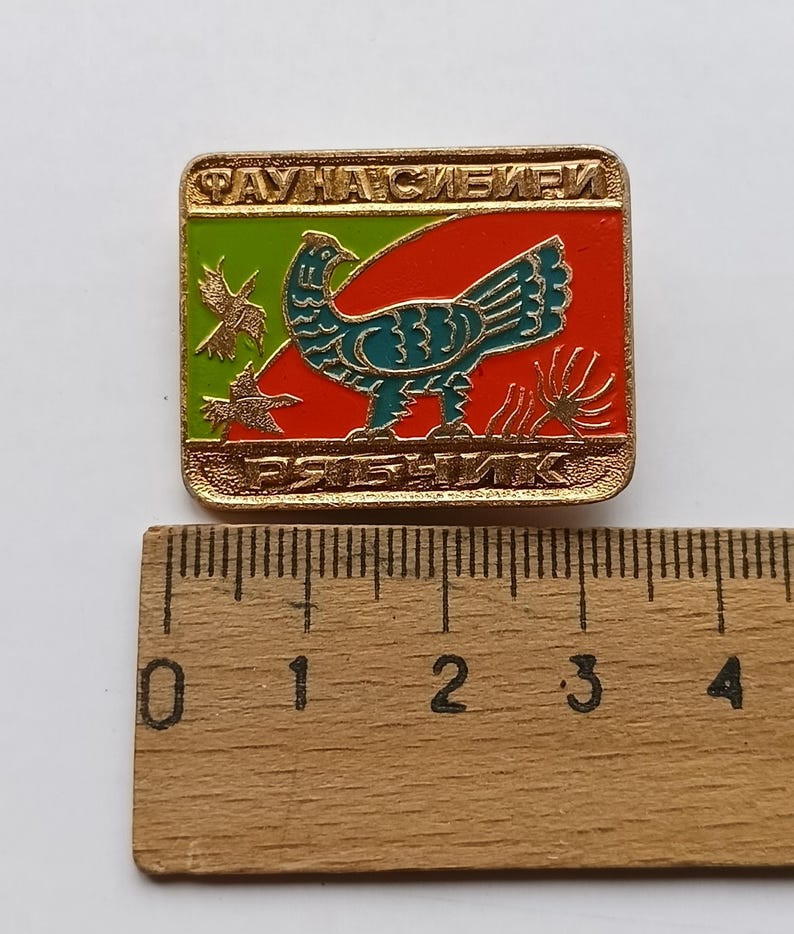 Vintage Badge Grouse Fauna of Siberia Bird Pin Icon USSR - Etsy