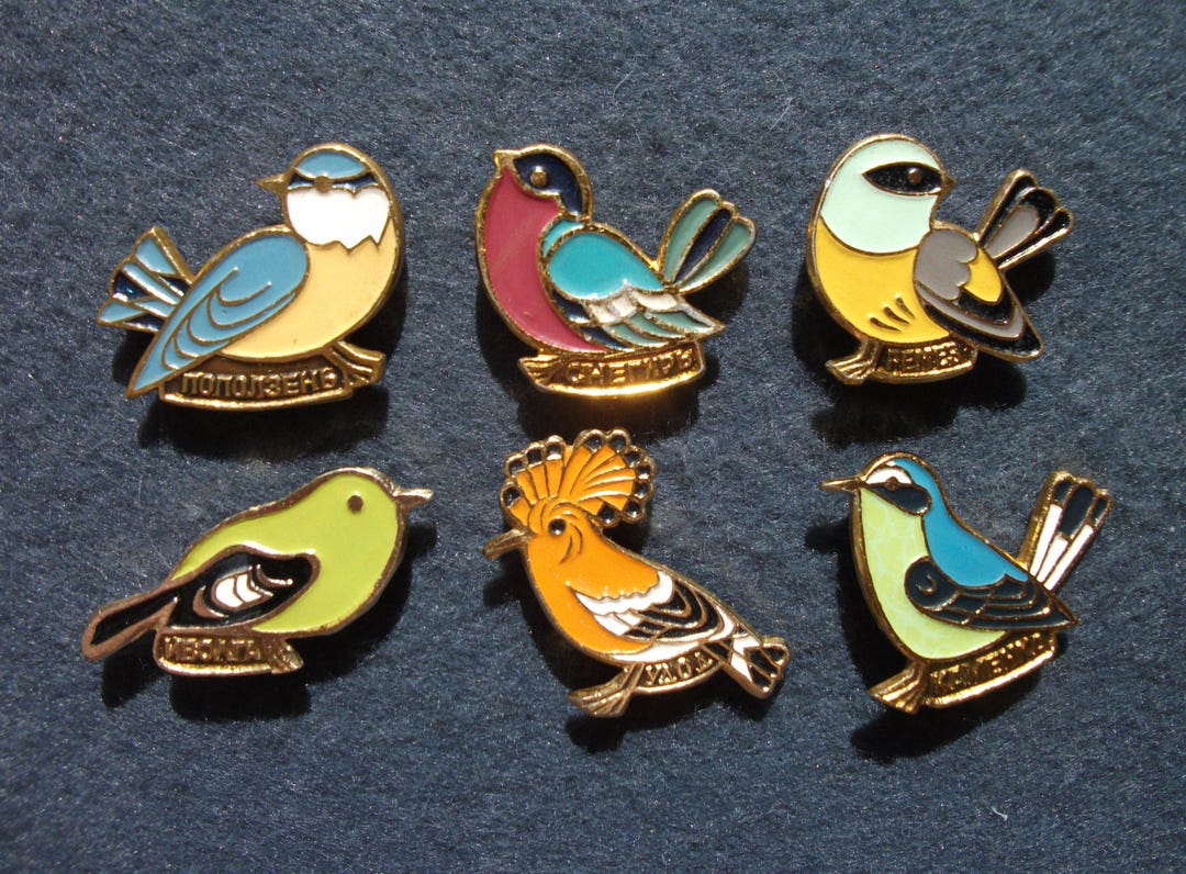 Vintage Soviet Badge Set Birds 6 Pcs Pin Icon USSR - Etsy