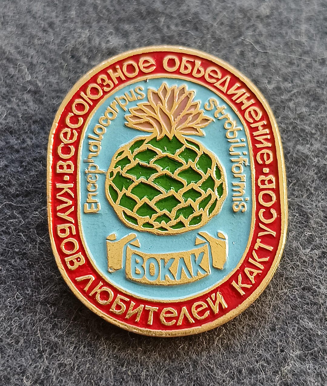 Vintage Badge Cactus VOKLK All-union Association Lovers Cactus Club ...