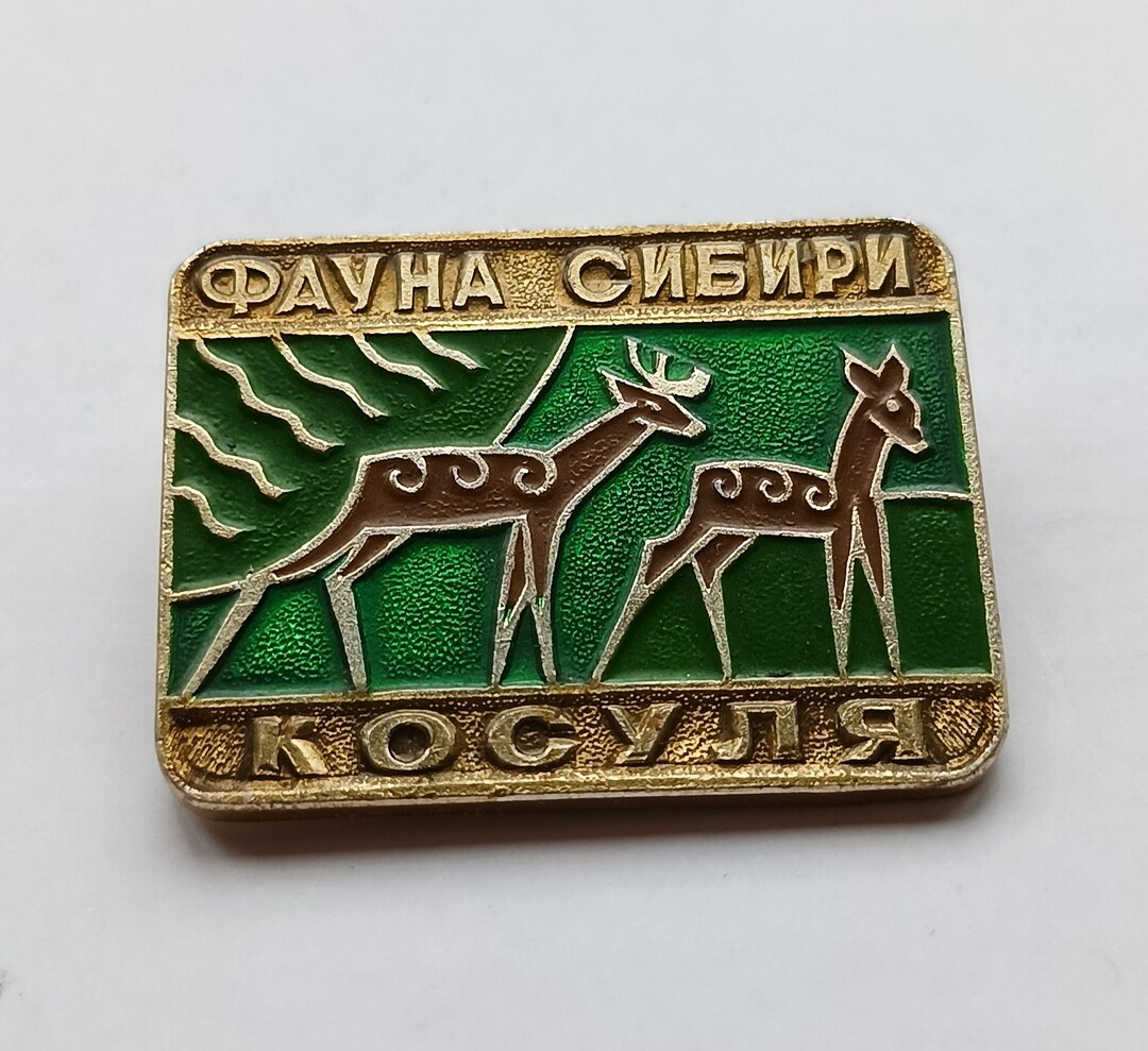 Vintage Badge Roe Deer Fauna of Siberia Animals Pin Icon USSR - Etsy