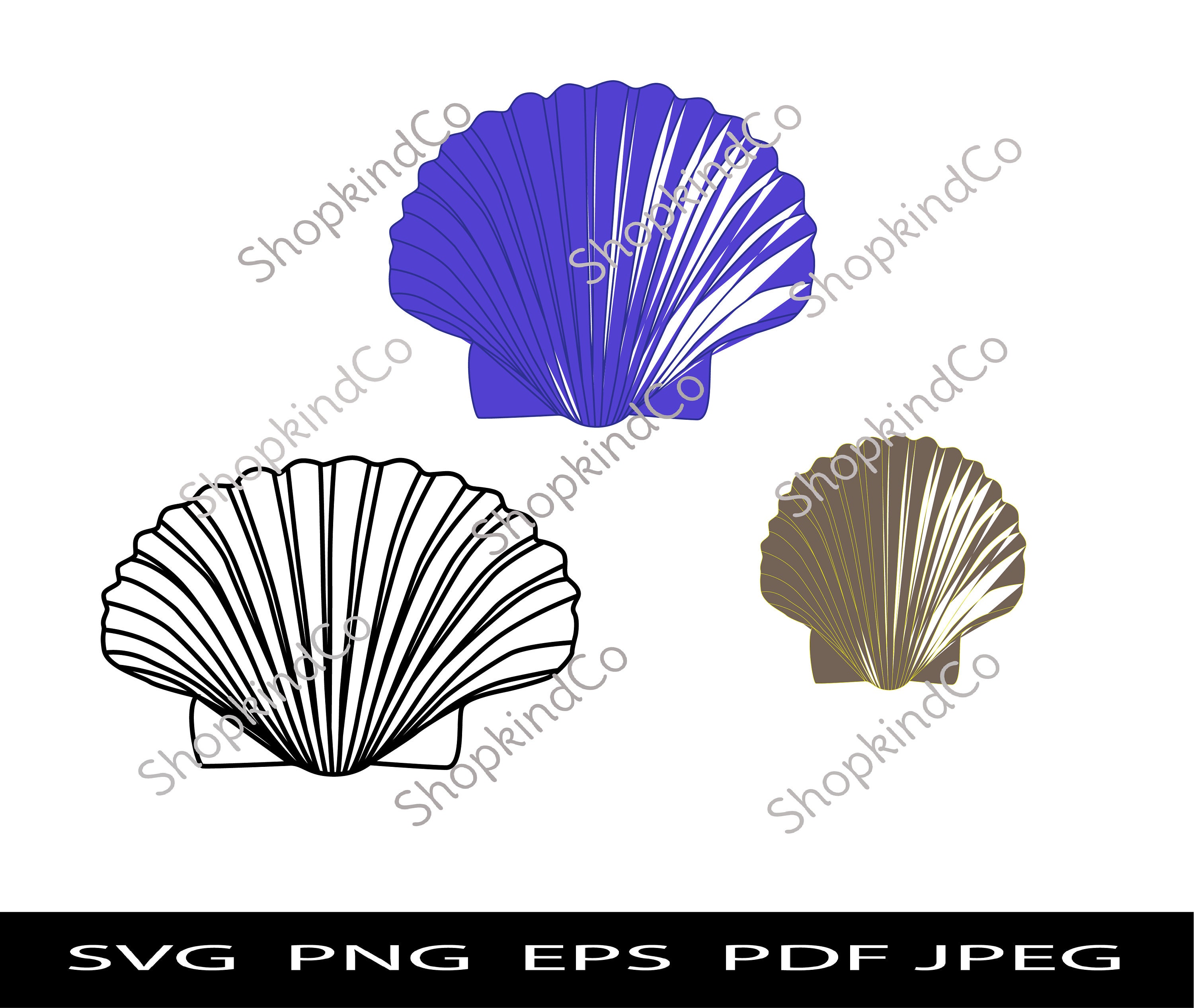 Sea Shell svg png eps jpeg pdf Cut files for Cricut Mermaid | Etsy