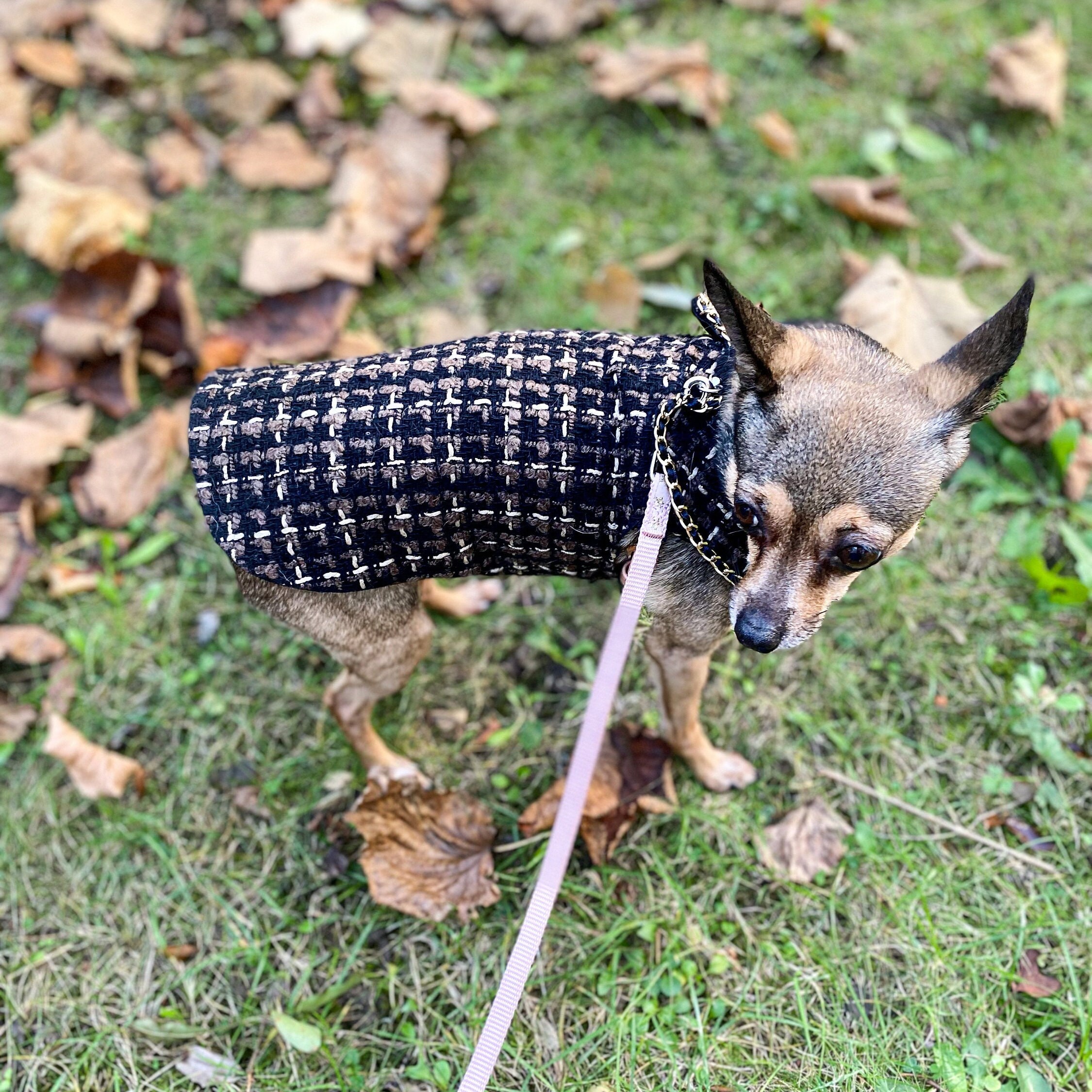 Tweed Coat for Small Dogs Handmade Tweed Jacket Chihuahua - Etsy