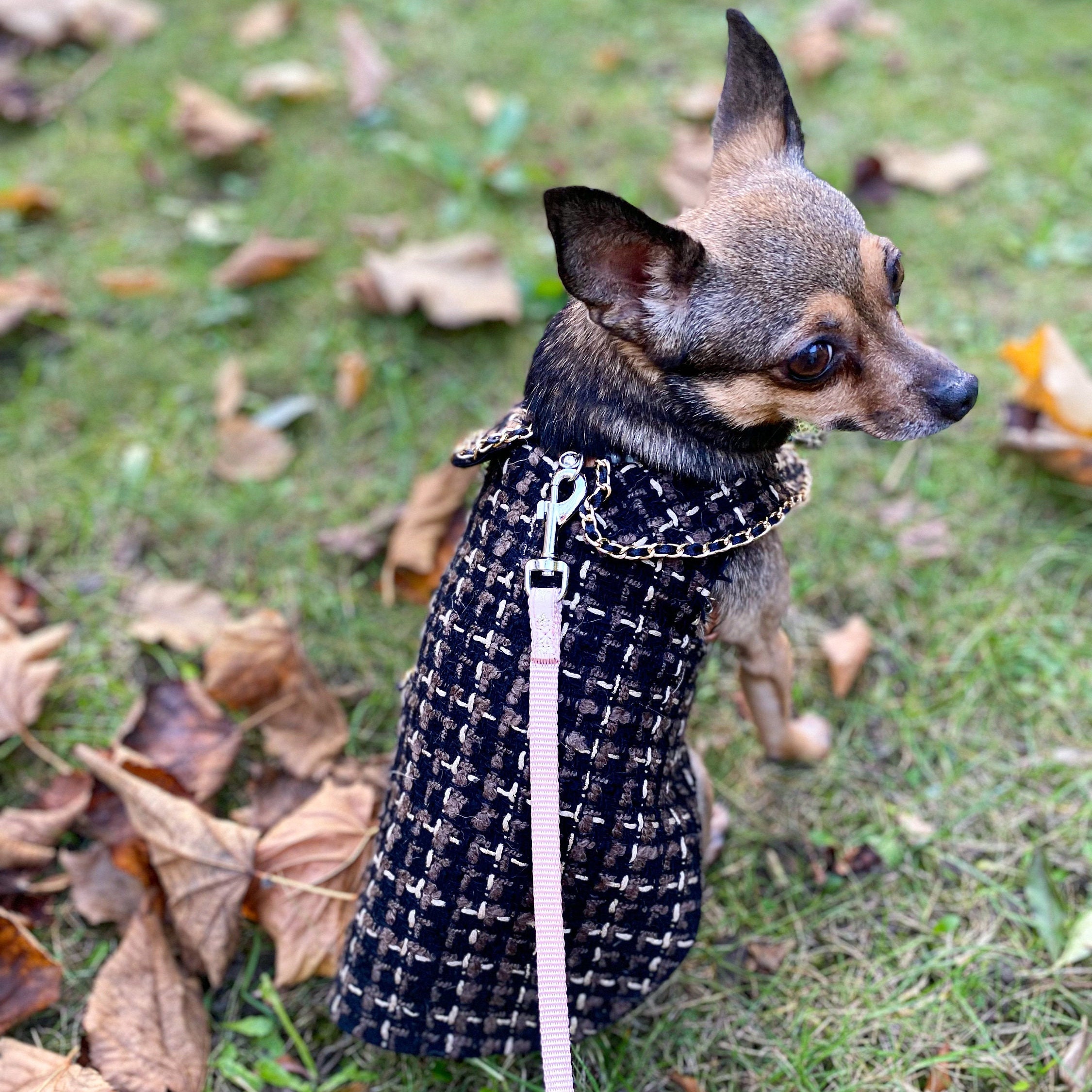 Tweed Coat for Small Dogs Handmade Tweed Jacket Chihuahua - Etsy