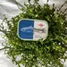 Sardine Can Stickers, Trendy Journaling Decals - Etsy