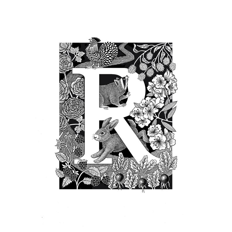 Letter R Art (initial, Monogram) is For...rooster, Raspberries ...