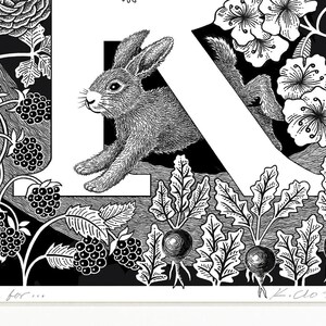 Letter R Art (initial, Monogram) is For...rooster, Raspberries ...