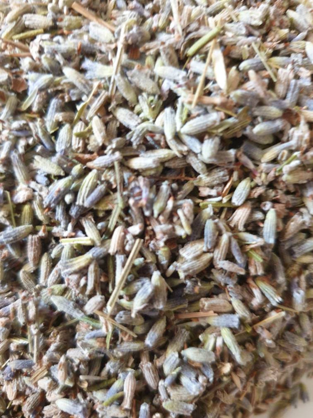 Greek Lavender Dried Flowers Fragrant Spice Herb Tea Lavandula - Etsy ...