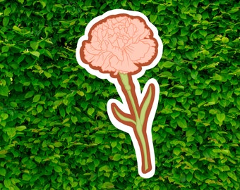 Carnation January Birth Month Flower Sticker, Paper Handmade Sticker - Etsy