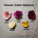 Dried Rose Bottle Stopper | Pressed Flower Wine Stopper | Real Flower ...