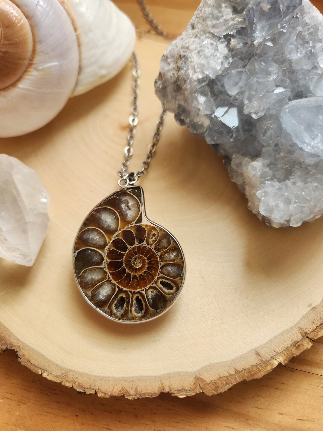 Ammonite Fossil Necklace / Ammonite Pendant / Long Necklace / Shell ...