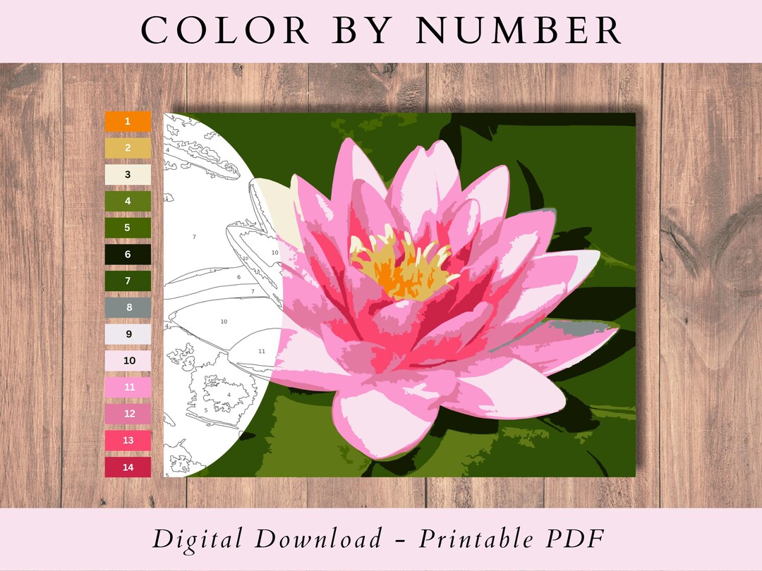 Color by Number for Adults, Pink Lotus Flower Paint by Numbers ...