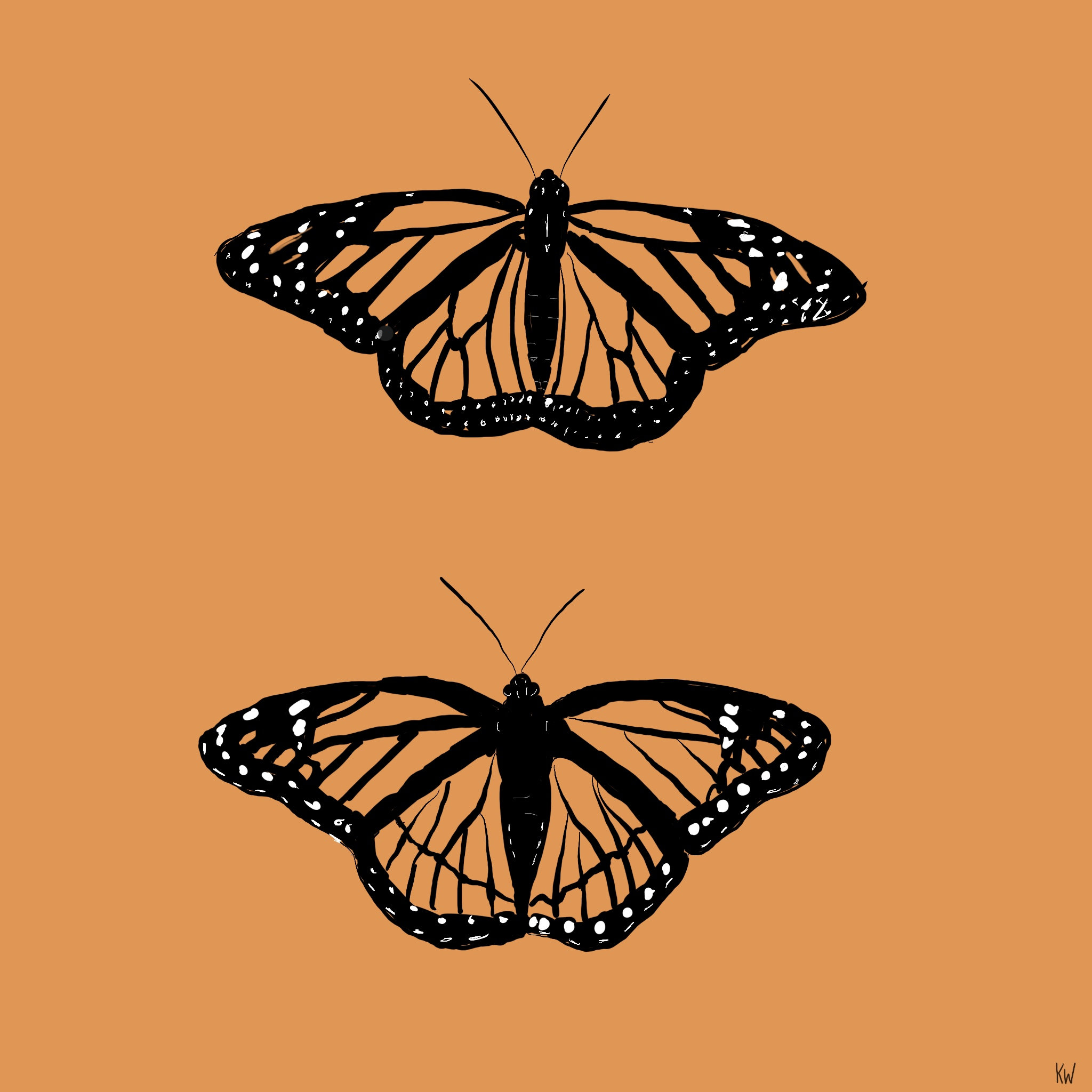 Viceroy and Monarch Butterfly Art Print - Etsy
