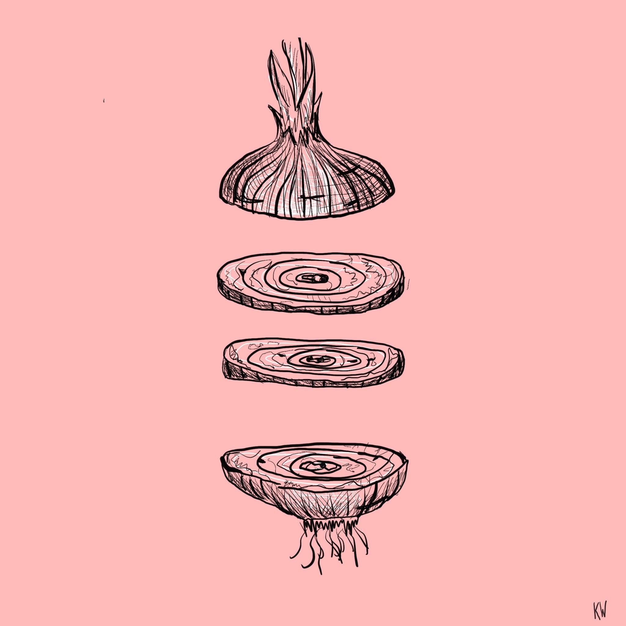 Onion Art Print - Etsy