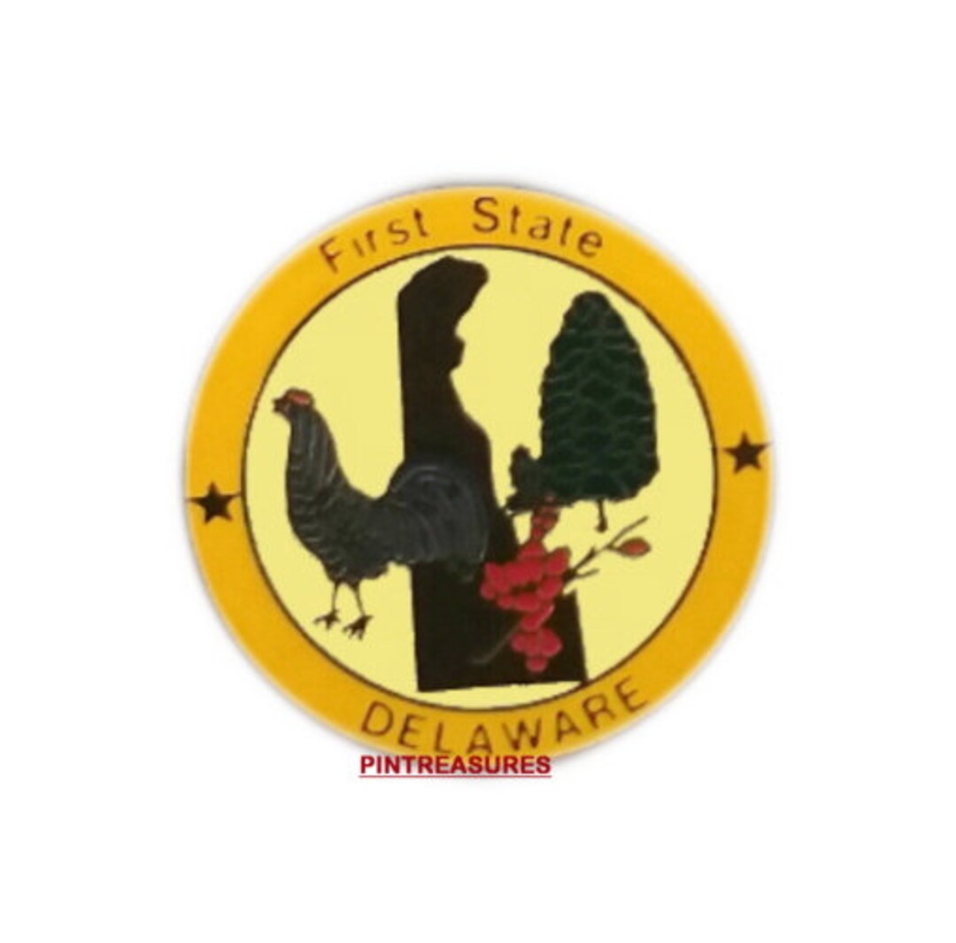 Delaware Pins State of Delaware Emblem Pin Travel Vacation - Etsy