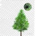 Landscape Tree Plan View and Elevation Plant Materials Graphics ...