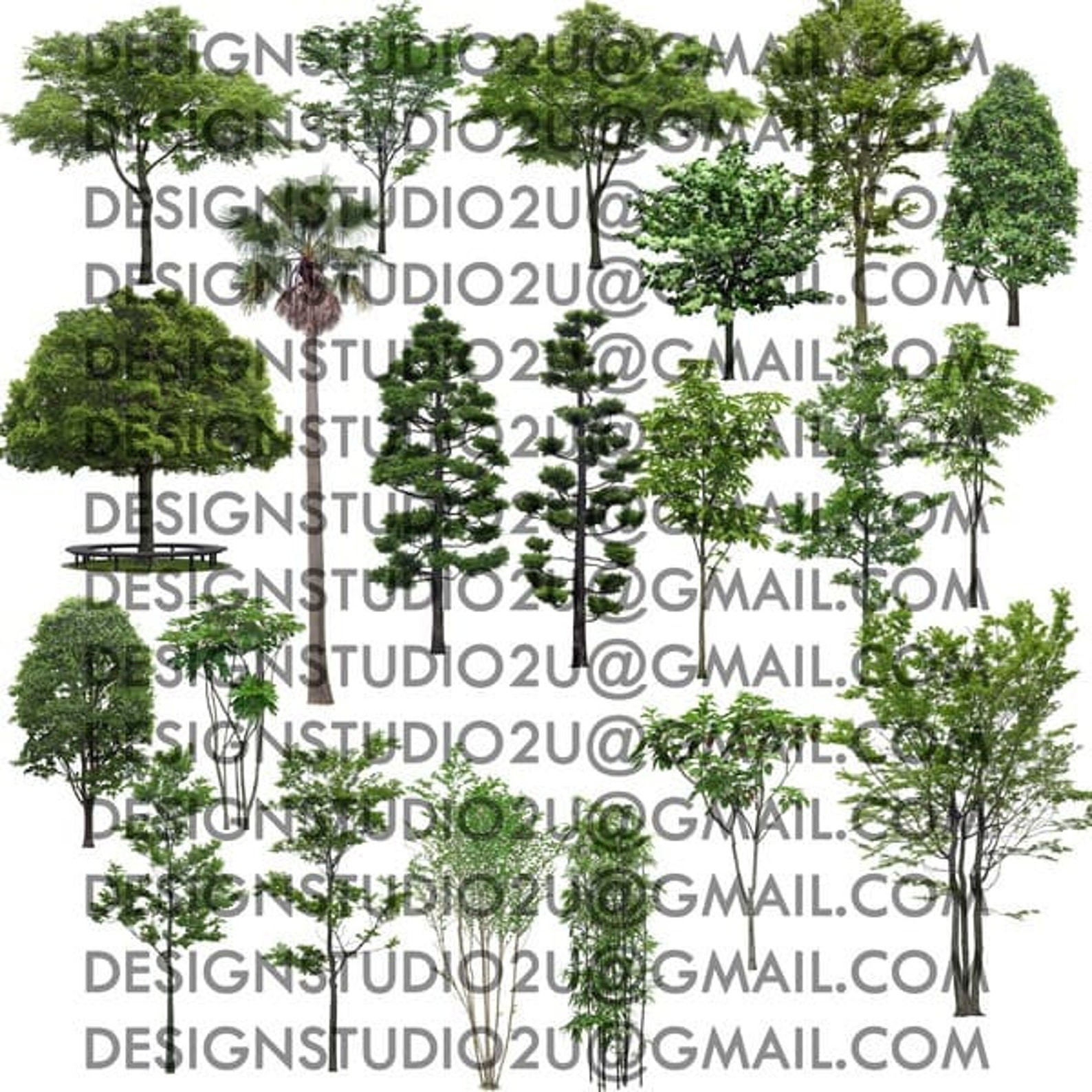 Photoshop- Tree Elevations PNG Landscape Architectural Graphics Clipart ...
