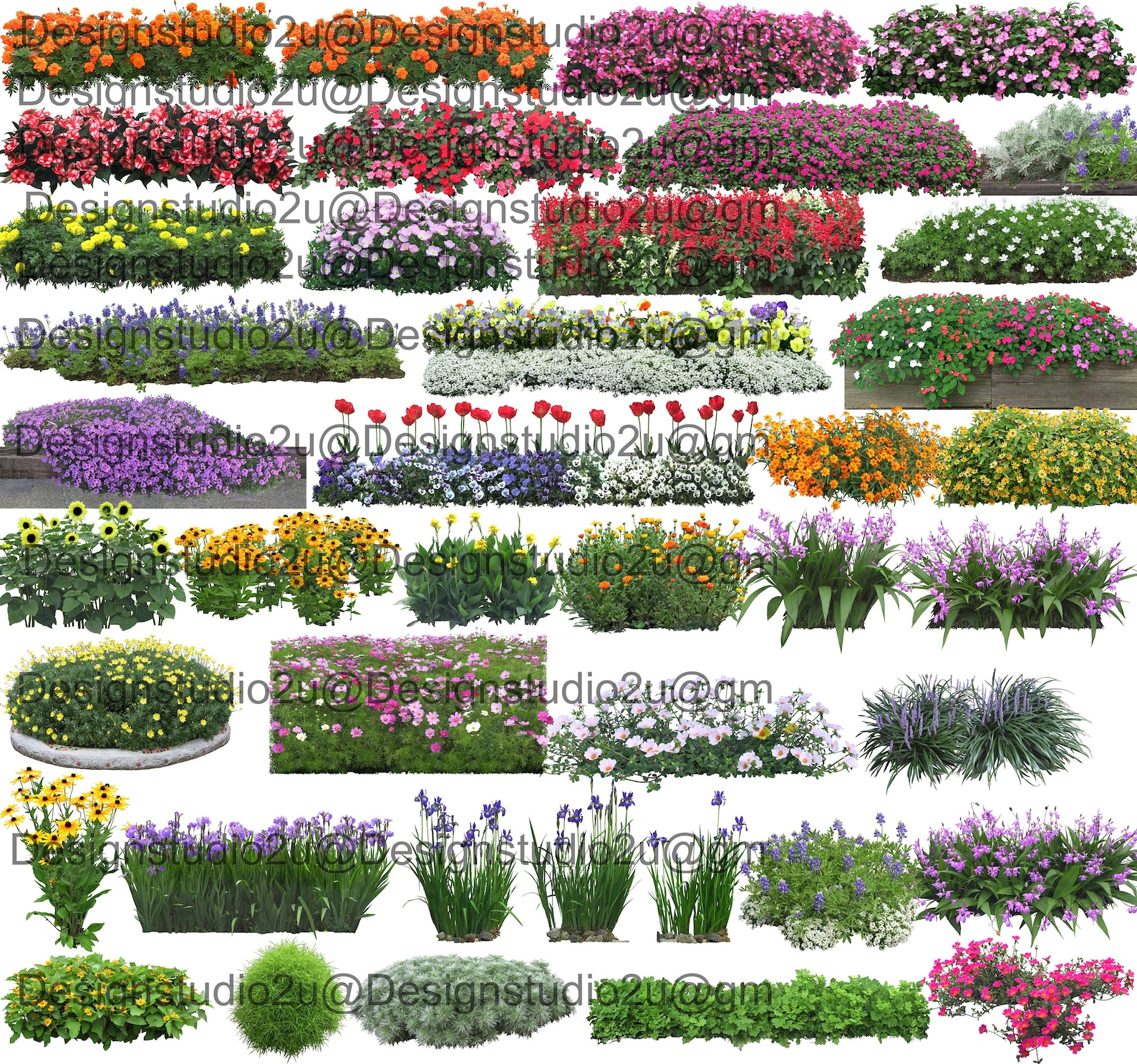 Photoshop- Tree Elevations PNG Landscape Architectural Graphics Clipart ...