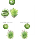 Landscape Tree Plan View and Elevation Plant Materials - Etsy