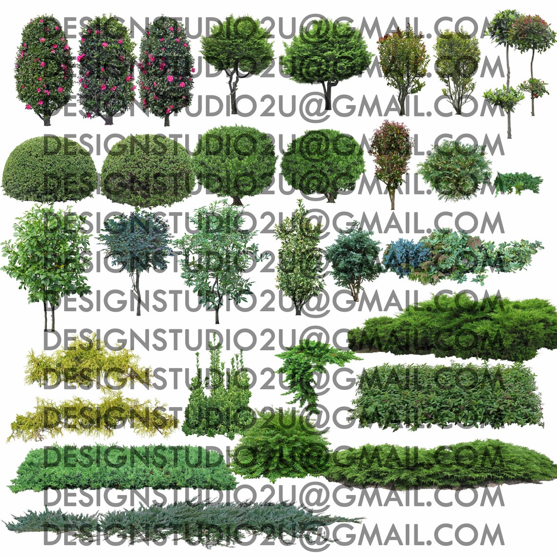 Photoshop- Tree Elevations PNG Landscape Architectural Graphics Clipart ...