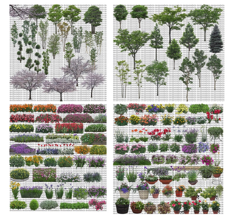 Photoshop PSD- Landscape Elevations Sections Vector Clipart Render PNG ...