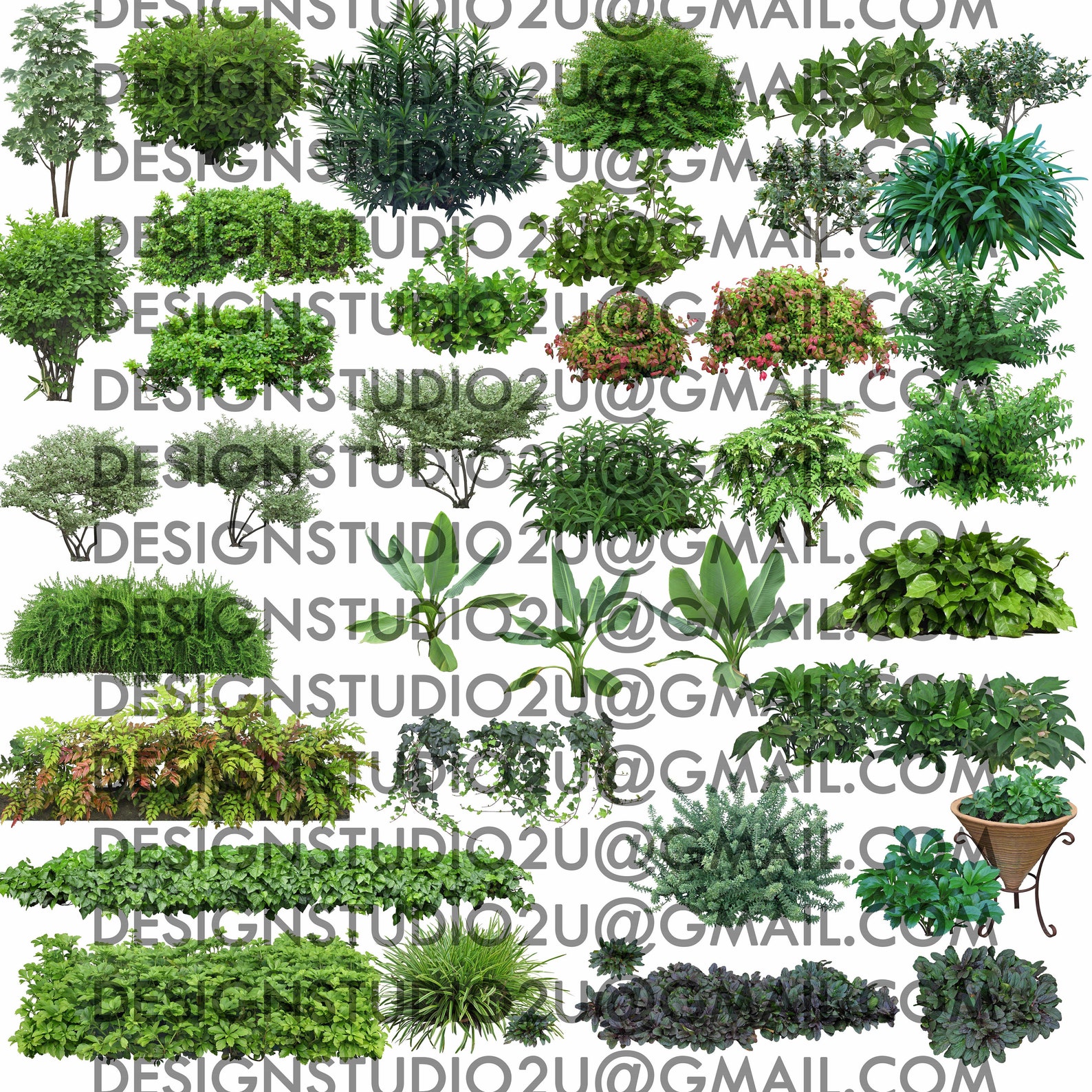 Photoshop- Tree Elevations PNG Landscape Architectural Graphics Clipart ...
