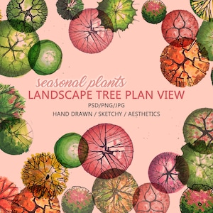 Landscape Tree Planarchitectural Illustration Tree Plan View PNG/PSD ...