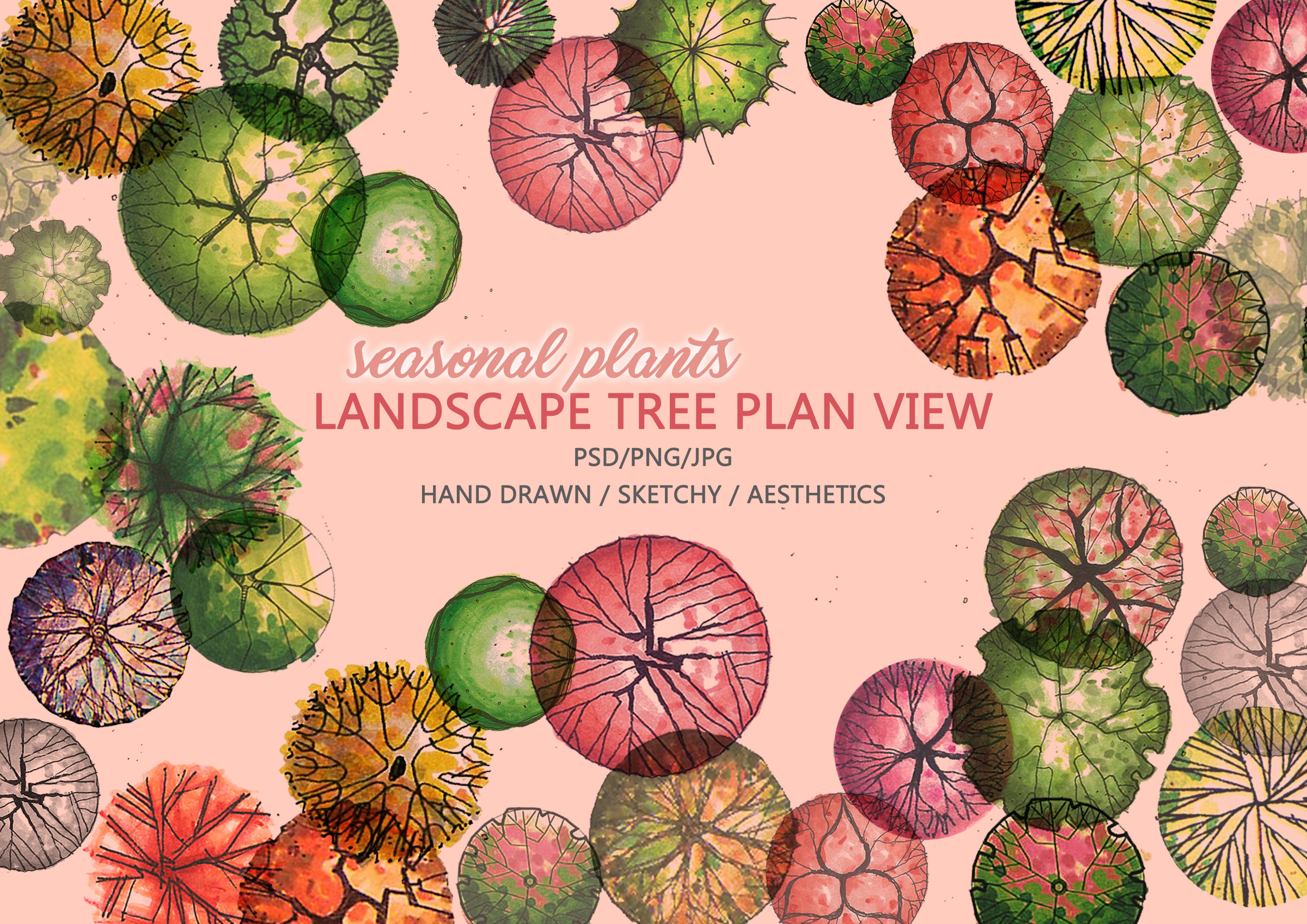 Landscape Tree Planarchitectural Illustration Tree Plan View PNG/PSD ...