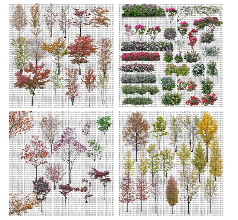 Photoshop PSD- Landscape Elevations Sections Vector Clipart Render PNG ...