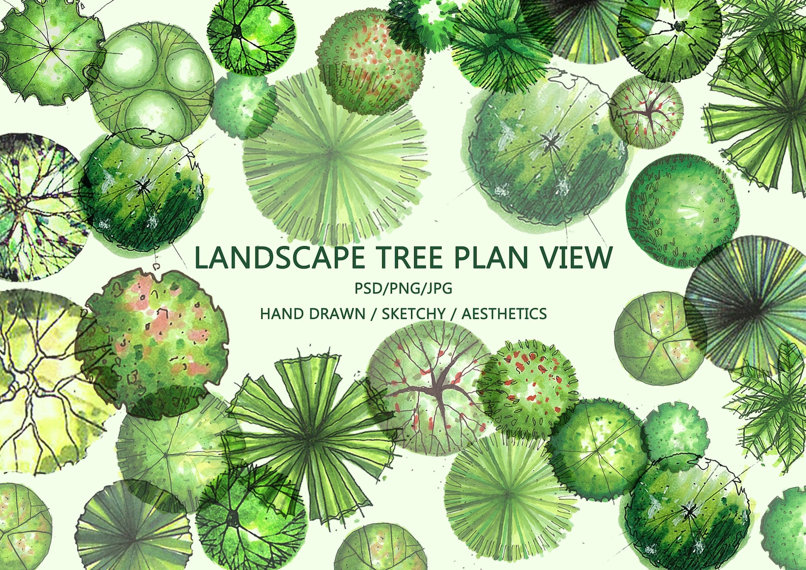 Landscape Tree Planarchitectural Illustration Tree Plan View PNG/PSD ...