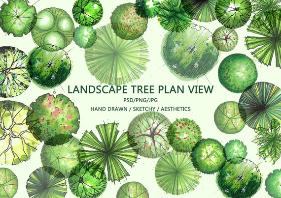 Landscape Plan Graphics Landscape Graphics Plan View Trees