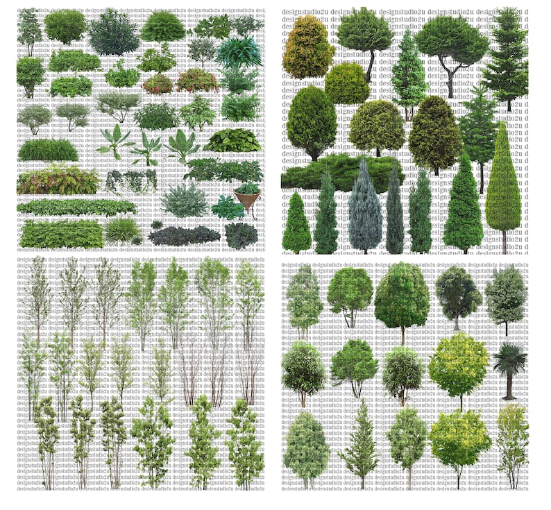 Photoshop PSD- Landscape Elevations Sections Vector Clipart Render PNG ...